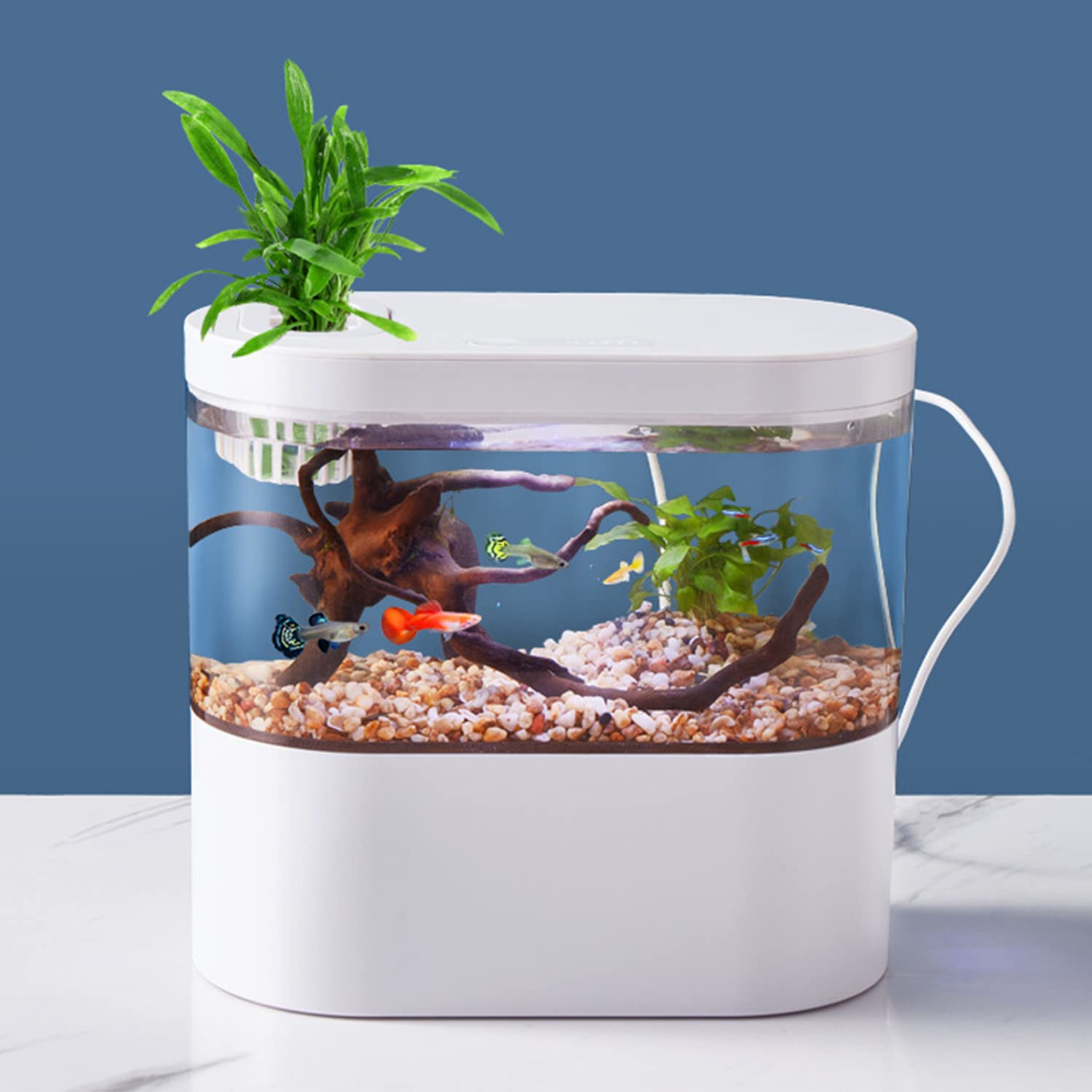 Mini akvarium för guldfisk-skrivbordsakvarium startpaket med LED-ljus ...